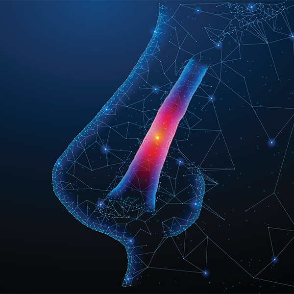 Nasal & Sinus Services Tampa FL, Sinusitis & Rhinitis Specialists