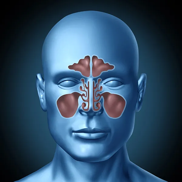Nasal & Sinus Services Tampa FL, Sinusitis & Rhinitis Specialists