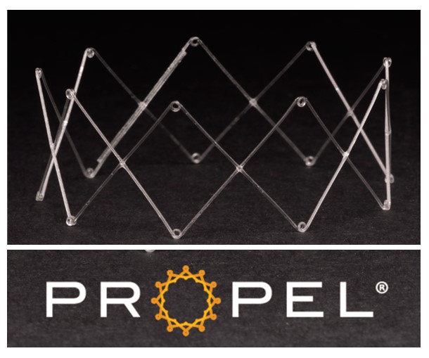 PROPEL® Sinus Stent Tampa FL, Nasal & Sinus Services